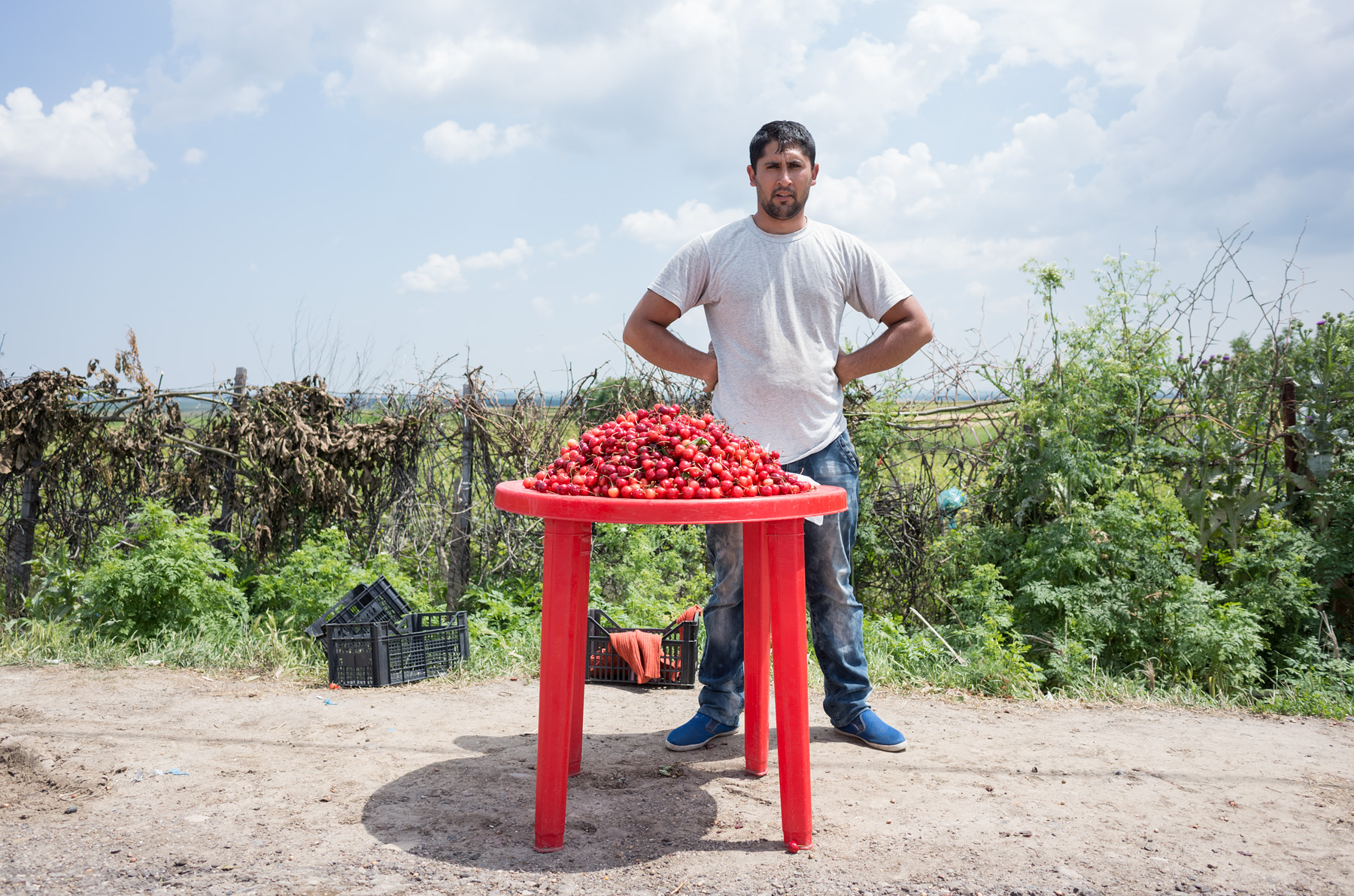 The Cherry Man – Journal by Tudor Prisăcariu